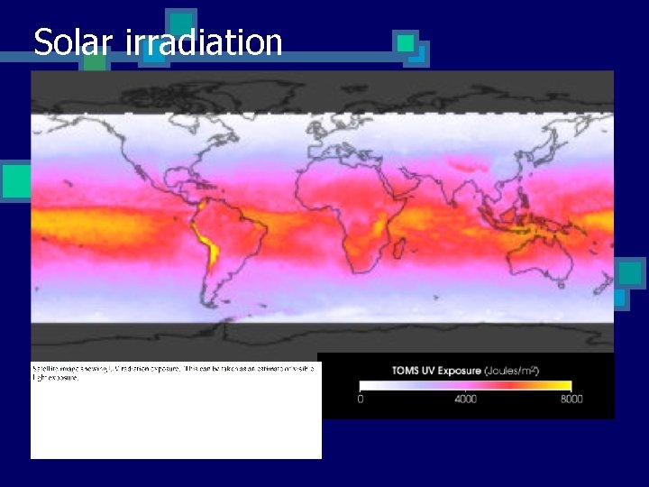 Unit 3 Environmental Biology Understanding the interactions between