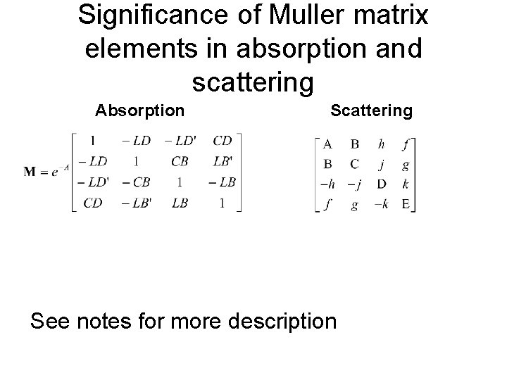 Polarized Light Scattering Biophysics More rigorous Treatment of