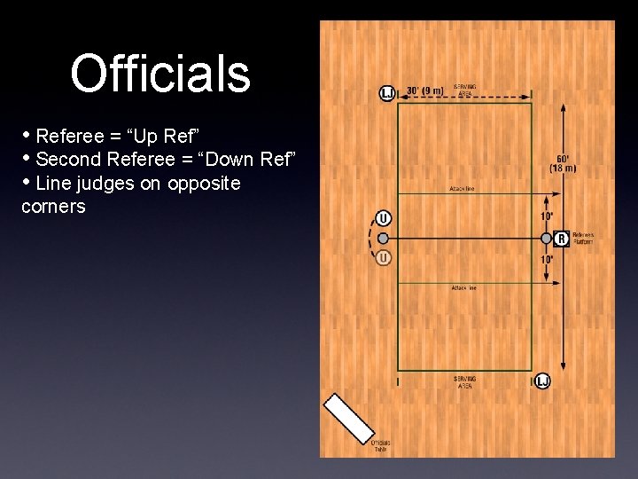 6 on6 Volleyball Spring 2008 Court Green lines
