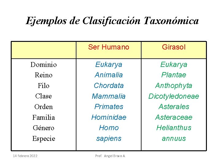CLASIFICACIN DE LOS SERES VIVOS 14 febrero 2022