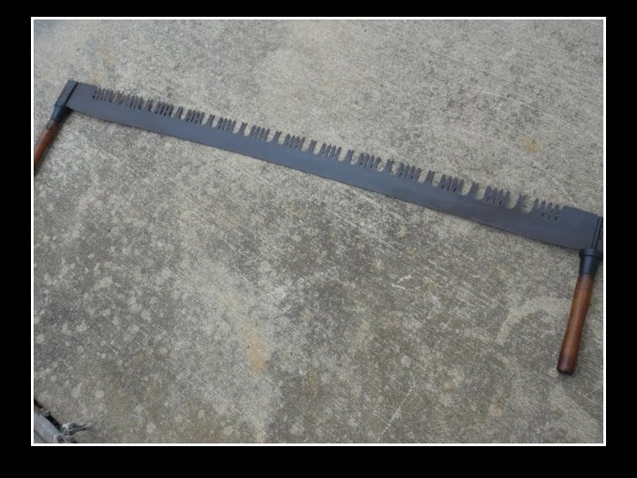 THE TIMBER TRADE IN THE 1800 S Timber