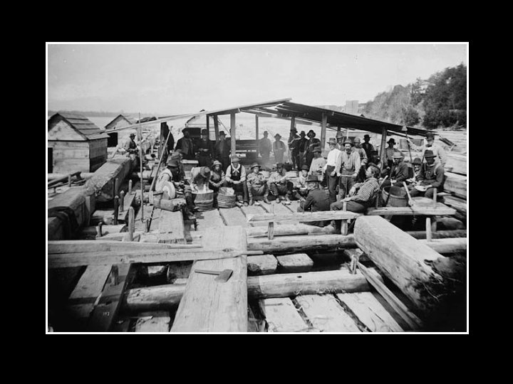 THE TIMBER TRADE IN THE 1800 S Timber