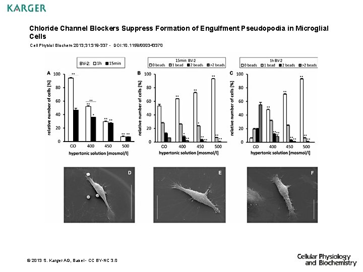 Chloride Channel Blockers Suppress Formation of Engulfment Pseudopodia