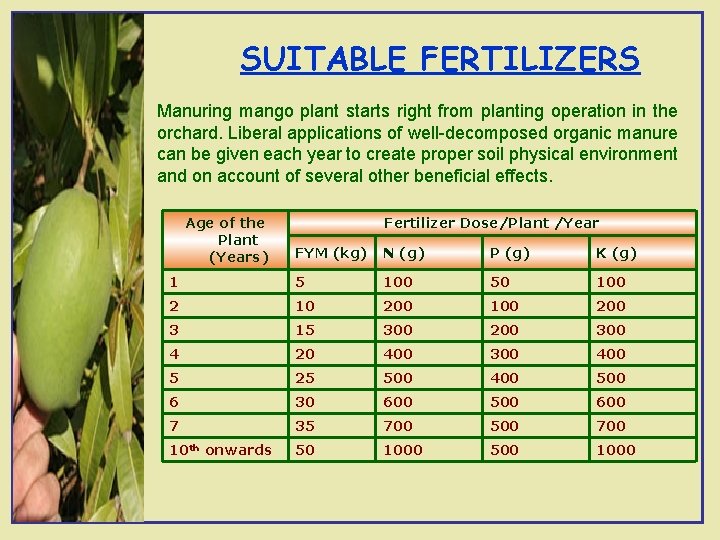 MANGO CULTIVATION TECHNOLOGY Prepared by Vijay Agrawal SOIL