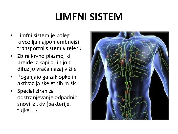 OBTOILA OZ TRANSPORTNI SISTEM lovek FUNKCIJA PRENAANJE HRANILNIH
