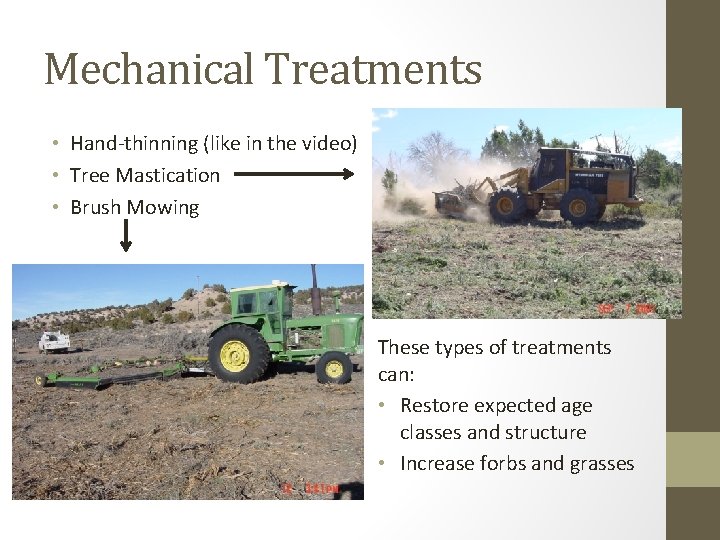Programmatic Vegetation Treatment EA Sagebrush Biome NW Colorado
