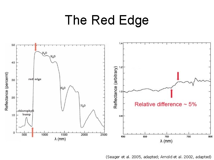 Detecting Photosynthesis on Exoplanets Orbiting MClass Stars Sky