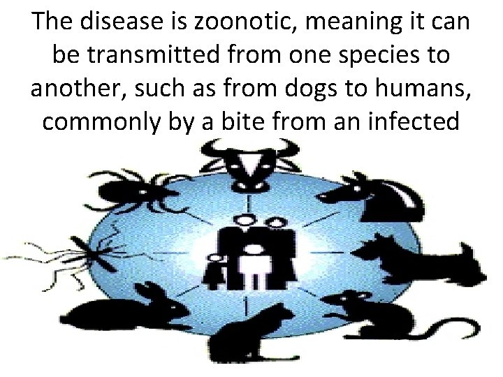 Rabies By Mahdi It came from dogs Cats