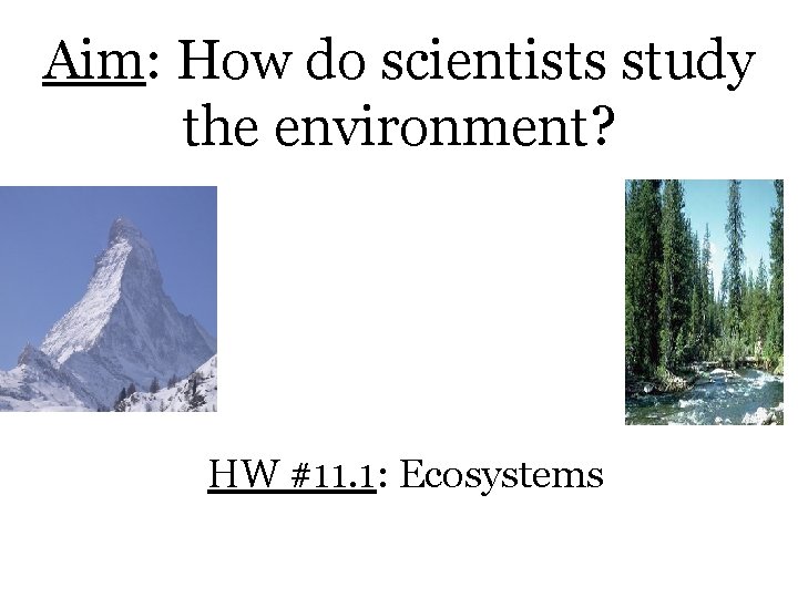 Aim How do scientists study the environment HW