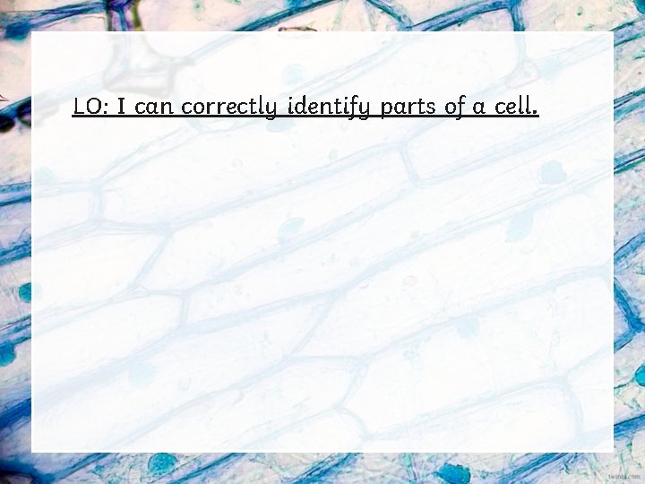 LO I can correctly identify parts of a