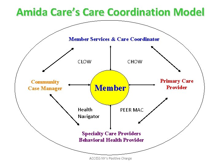 Positive Charge Access NY Collaboration Amida Care AC