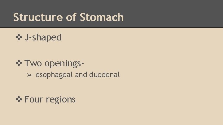 Essentially a long tube running through the body
