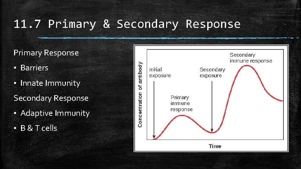 Immunology Ch 11 7 12 Microbiology 11 7