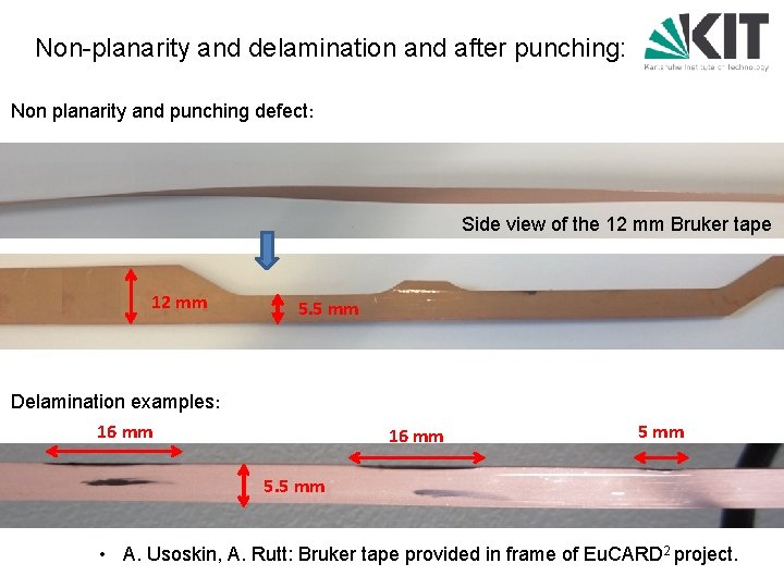 Roebel cables for Eu CARD experience and options