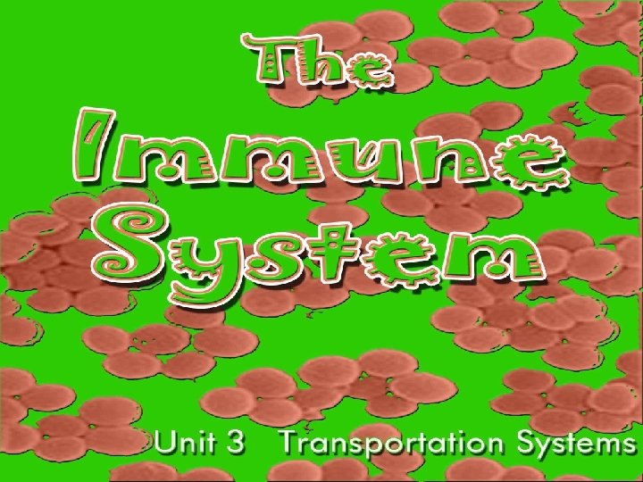 The IMMUNE System Unit 3 Transportation Systems Functions