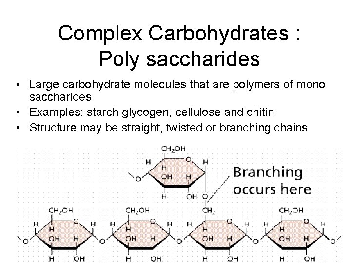 Biochemistry Macromolecules Carbohydrates Lipids Proteins and Nucleic Acids