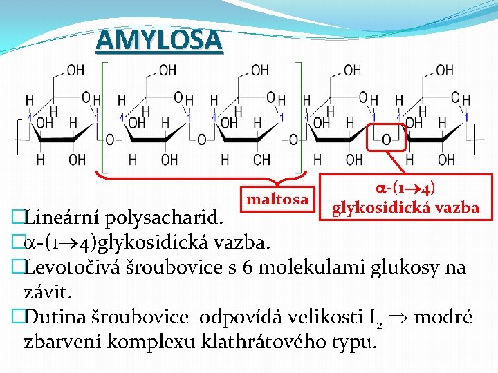 projekt GML Brno Docens DUM 7 v sad