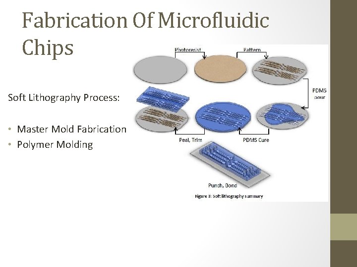 Senior Design Group 12 Identifying Behavioral Patterns of