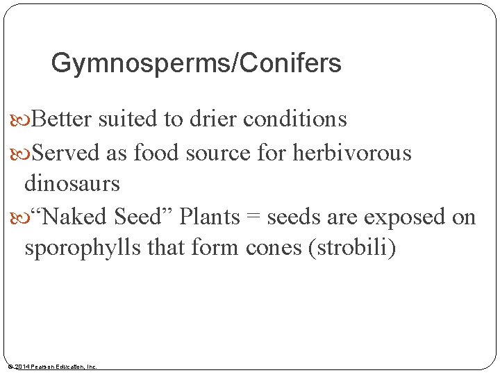 Evolution of Seed Plants Ch 30 Lecture Objectives