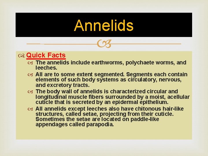 MEDICAL Invertebrates Prof Dr Ola A Abu Samak