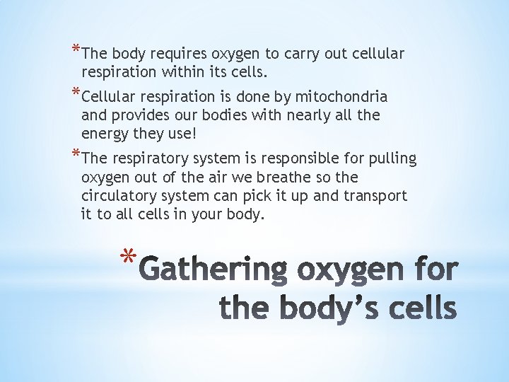 Mr Lockhart Gather oxygen for the bodys cells