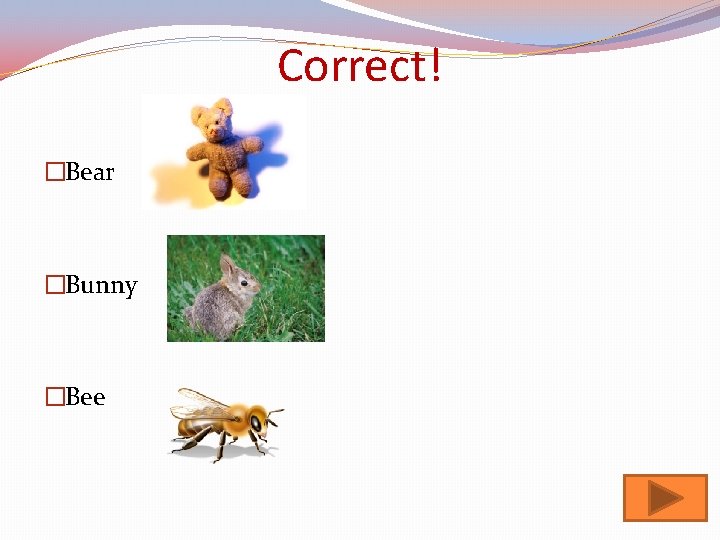 Animal Alphabet Holly Nicholas Content area Reading Grade