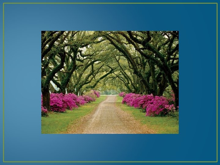 Practice Makes Perfect Your Name Tree Terms compound