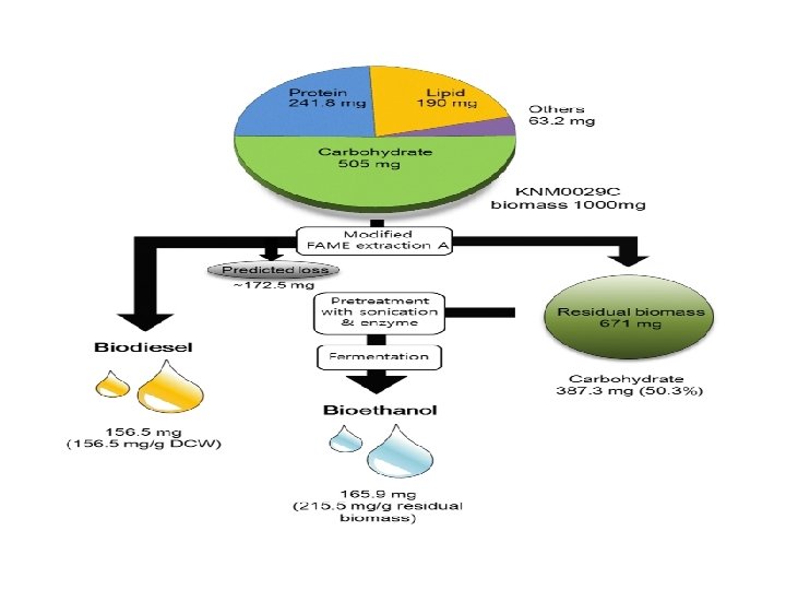 Bioethanol and Bio diesel Pre treatment for bioethanol