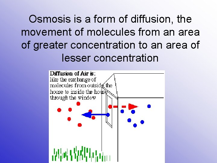 Movement Through Cell Boundaries Active and Passive Transport
