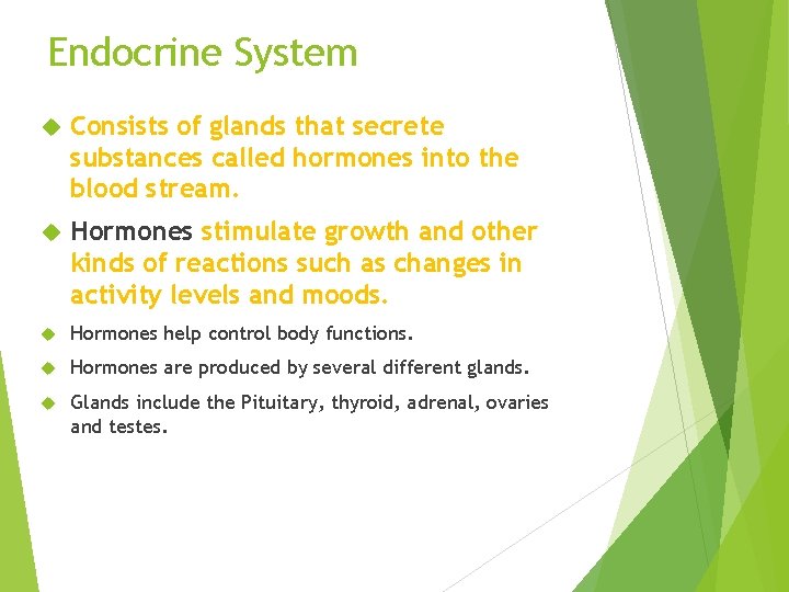Endocrine System Essential Question How does the endocrine