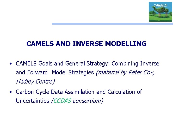 A global Carbon Cycle Data Assimilation System CCDAS