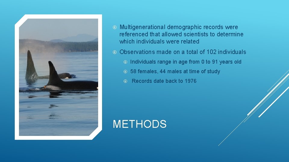 ECOLOGICAL KNOWLEDGE LEADERSHIP AND THE EVOLUTION OF MENOPAUSE