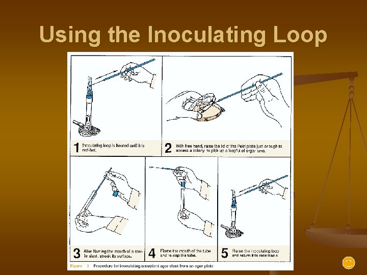 Laboratory Safety It is your responsibility to protect