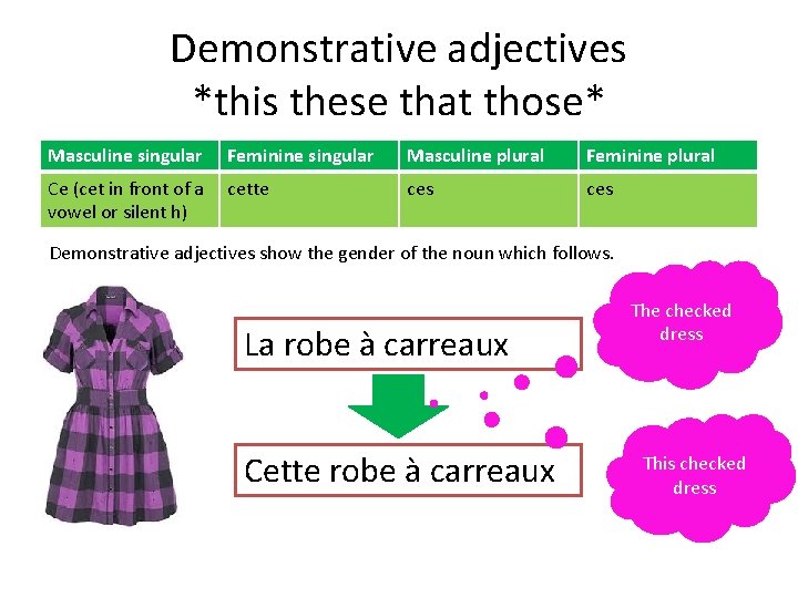 Demonstrative adjectives this these that those Masculine singular