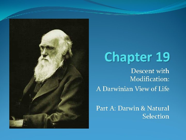 Chapter 19 Descent with Modification A Darwinian View
