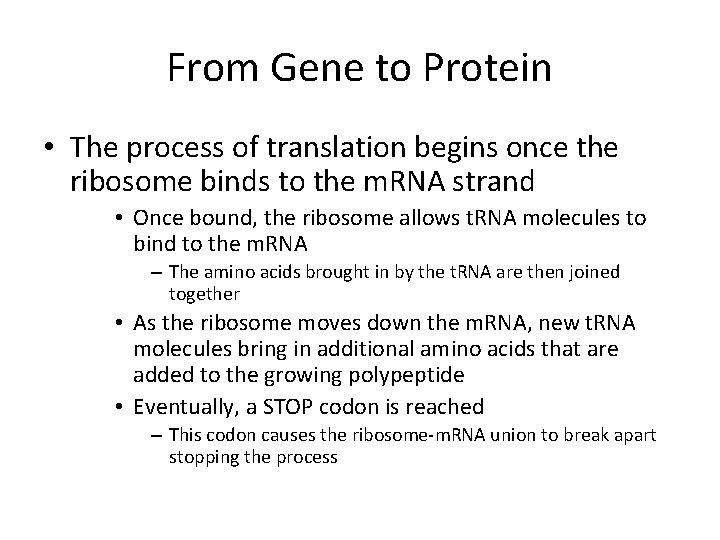 Chapter 13 2 RNA and Protein Synthesis Translation