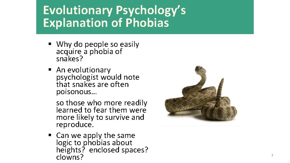 Unit 3 Module 15 The Human Approach to