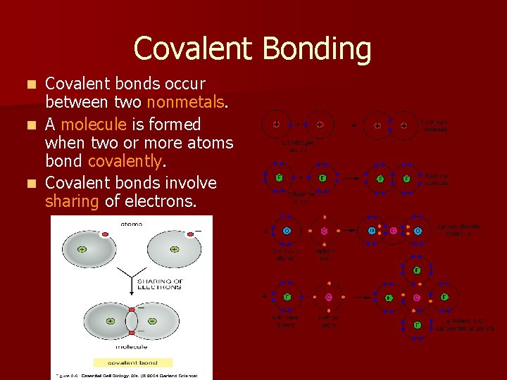 Covalent Molecules Review of Ionic Bonding Ionic bonds