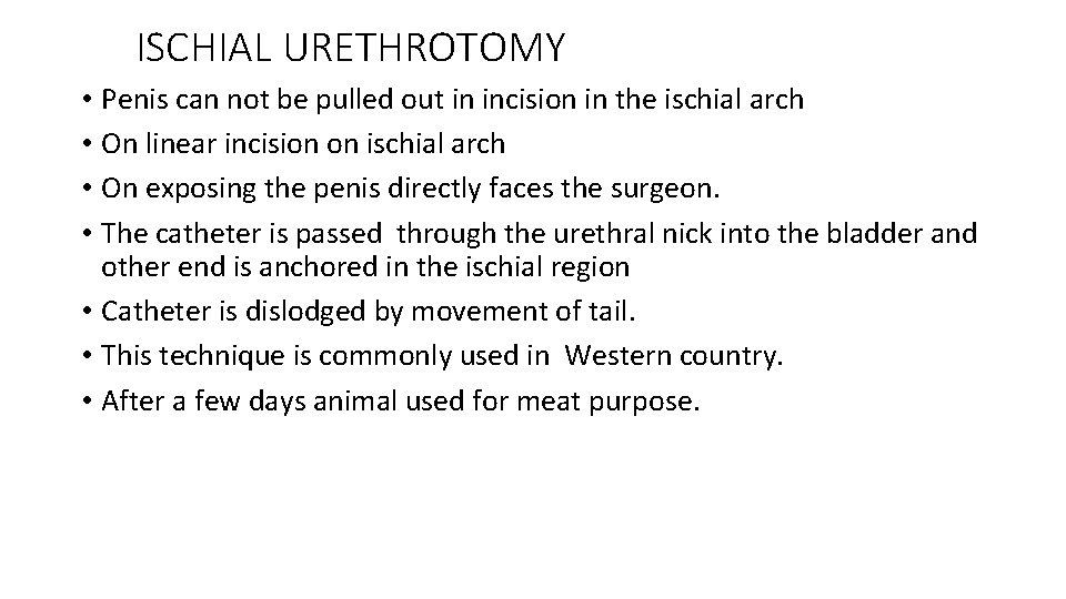 URINARY SYSTEM Kidneys are large lobulated structure Right