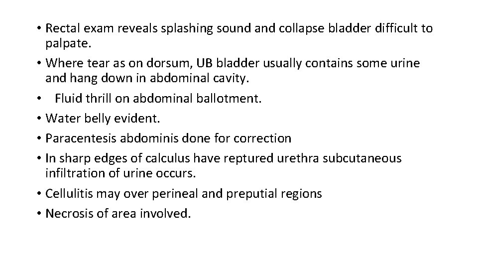 URINARY SYSTEM Kidneys are large lobulated structure Right