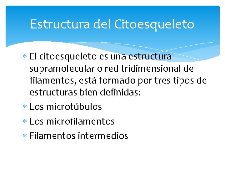 CITOESQUELETO Qu es el Citoesqueleto El citoesqueleto es