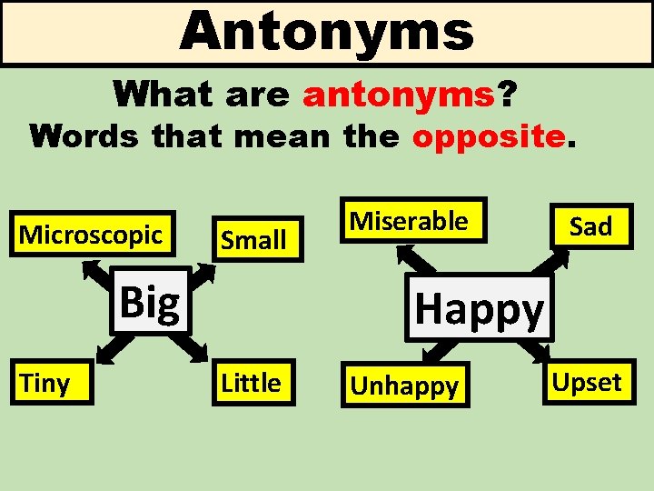 SYNONYMS AND ANTONYMS John pictured has been asked