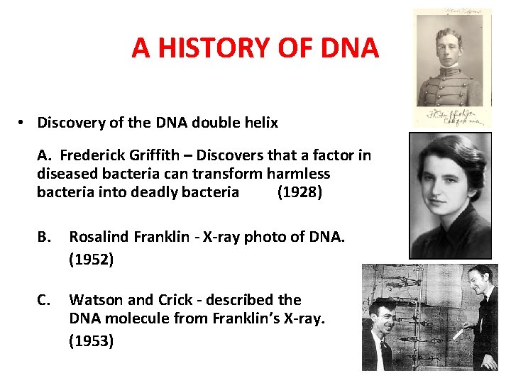 A HISTORY OF DNA Discovery of the DNA