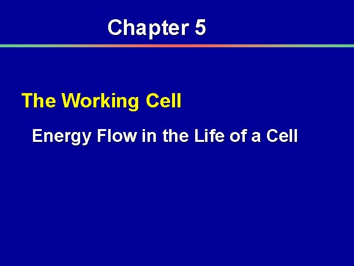 Chapter 5 The Working Cell Energy Flow in