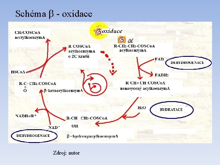 DIGITLN UEBN MATERIL slo projektu CZ 1 071