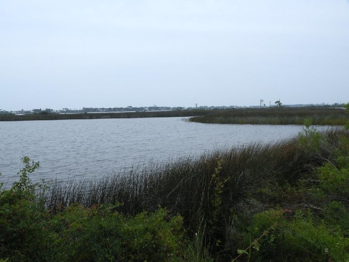 Surface Water Improvement and Management SWIM Plan Development