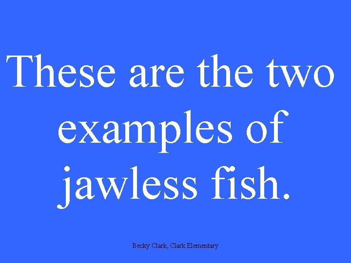 Birds Reptiles Mammals Basics Fish Amphibians 1 1