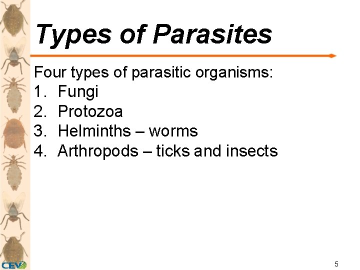 Objectives To learn the different stages types and