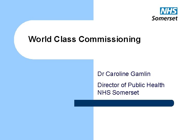 World Class Commissioning Dr Caroline Gamlin Director of