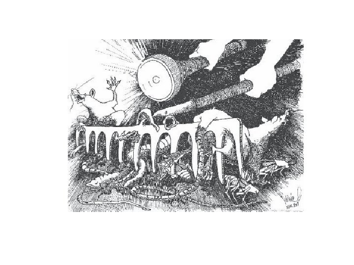 The Muckrakers Who What Why Where When picture